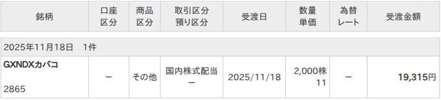 その461：[2865]グローバルX QYLD（国内ETF）の11月配当金受領（19,315円）: ゴールは投資で年収500万円